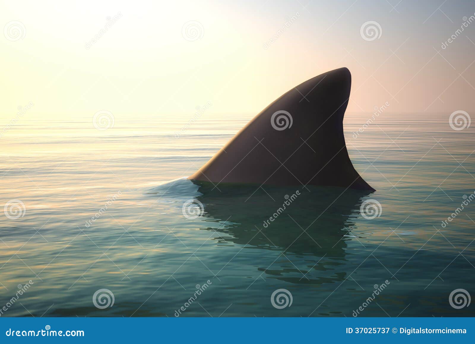 Aileron De Requin Au-dessus De L'eau D'océan Image stock - Image du ...