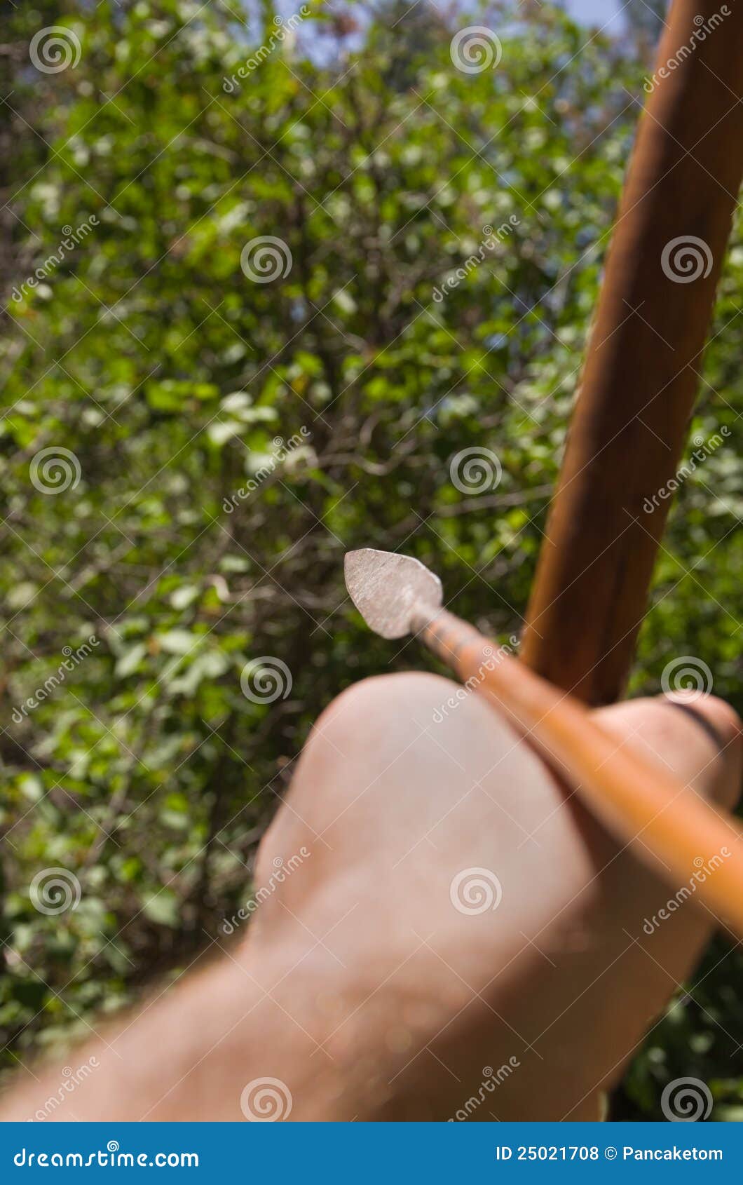 Aiming arrow stock photo. Image of wood, focus, pointing - 25021708