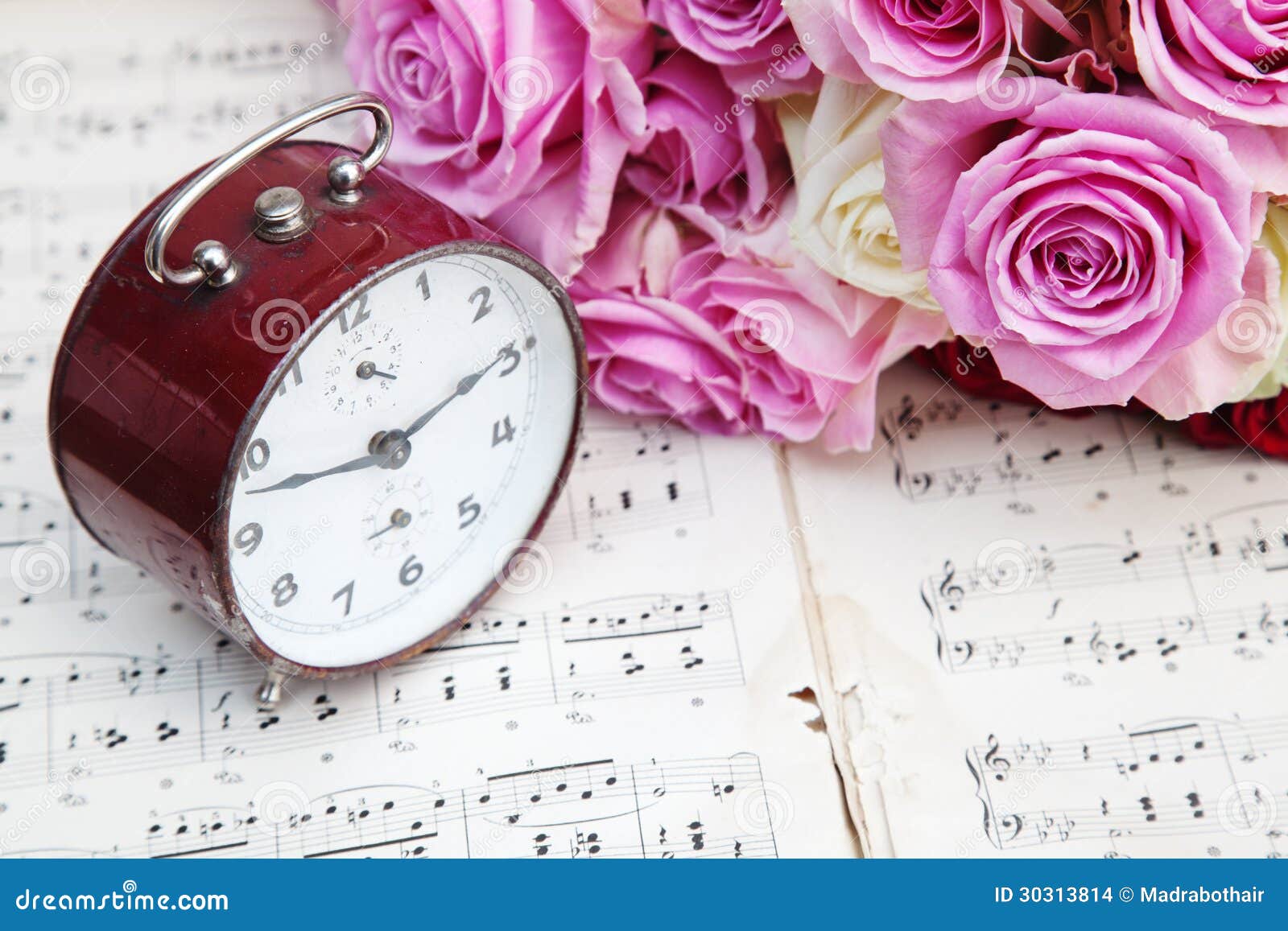 imagens de stock Rosas Cor De Rosa Com Notas Da Música - Baixe 68 ...