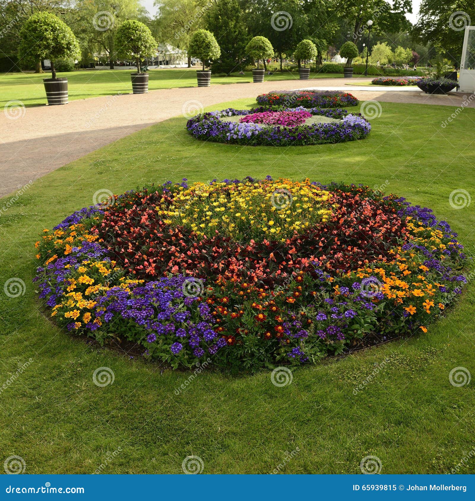 Aiola in parco immagine stock. Immagine di rosa, fiorito - 65939815