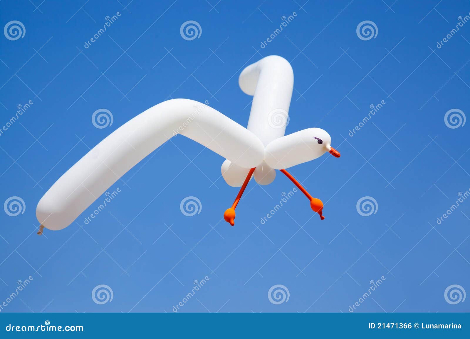 Air Balloon Seagull Floating Aqua Water Stock Photos - Free & Royalty ...