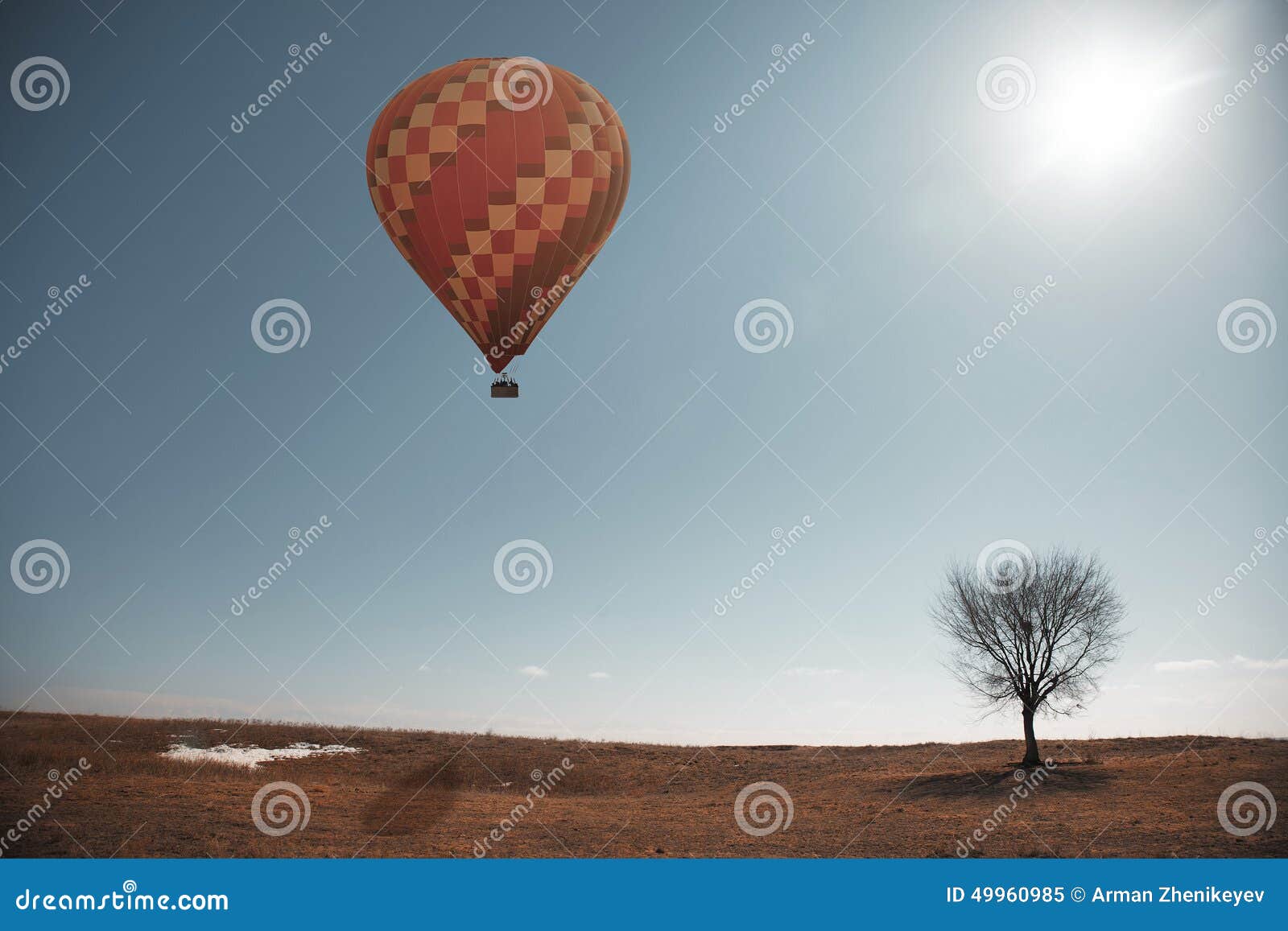 Air balloon and tree stock image. Image of aerostat, leisure - 49960985