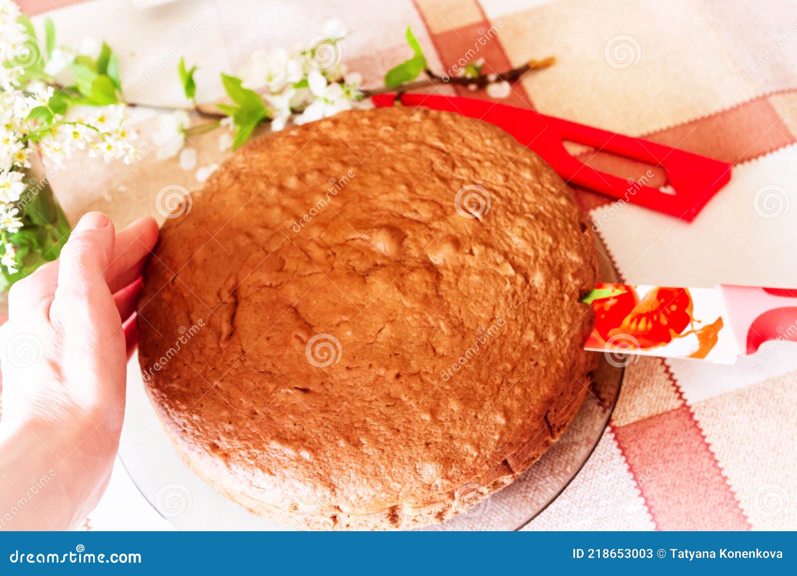 An Air Biscuit. Very Tasty Chocolate Biscuit Close-up Stock Image ...