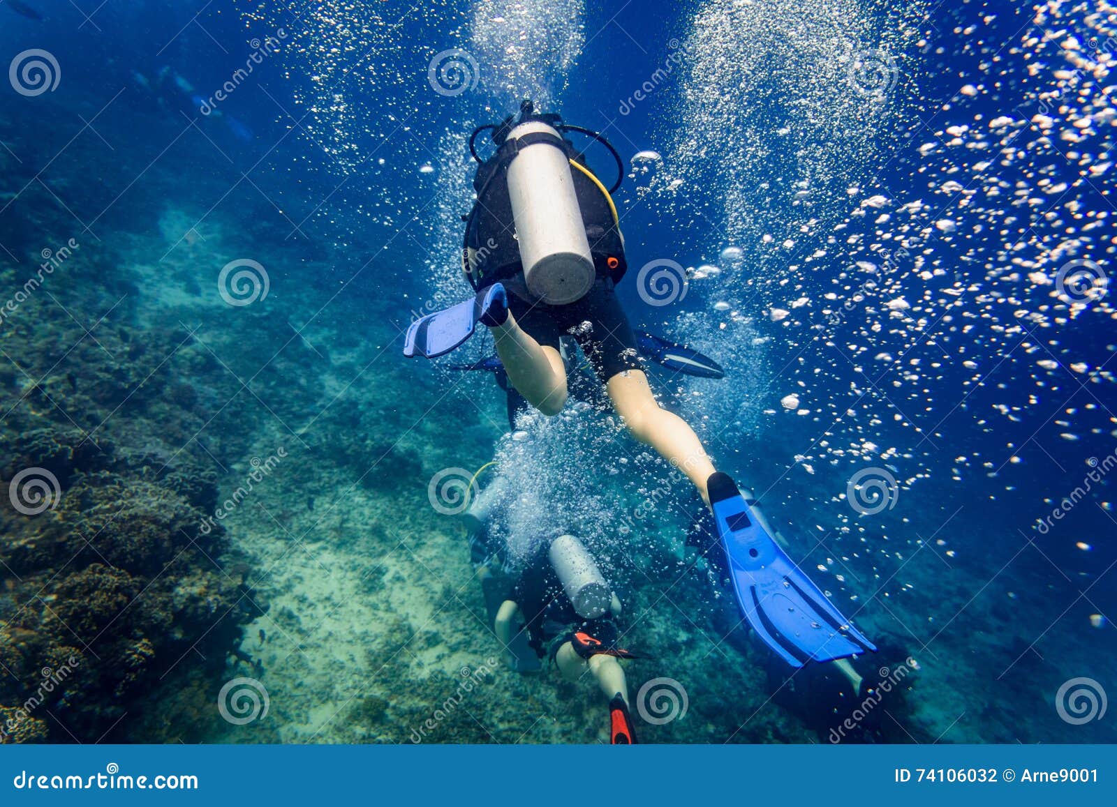Air Bubbles Emerging from Diver at Coral Reef Under Water Stock Photo ...