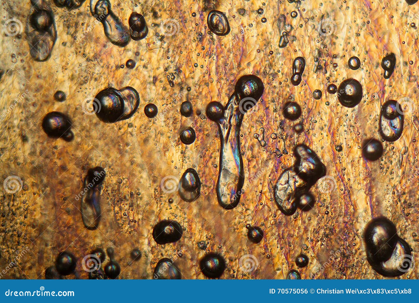 Air Bubbles in Ice Under the Microscope Stock Photo - Image of ...