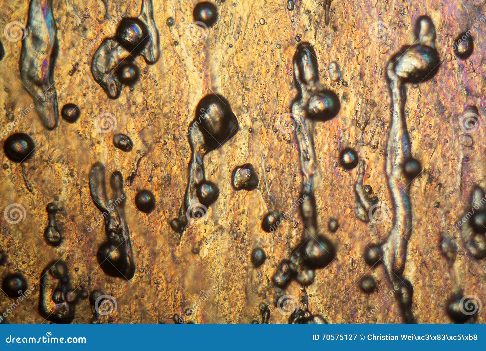 Air Bubbles in Ice Under the Microscope Stock Image - Image of lake ...