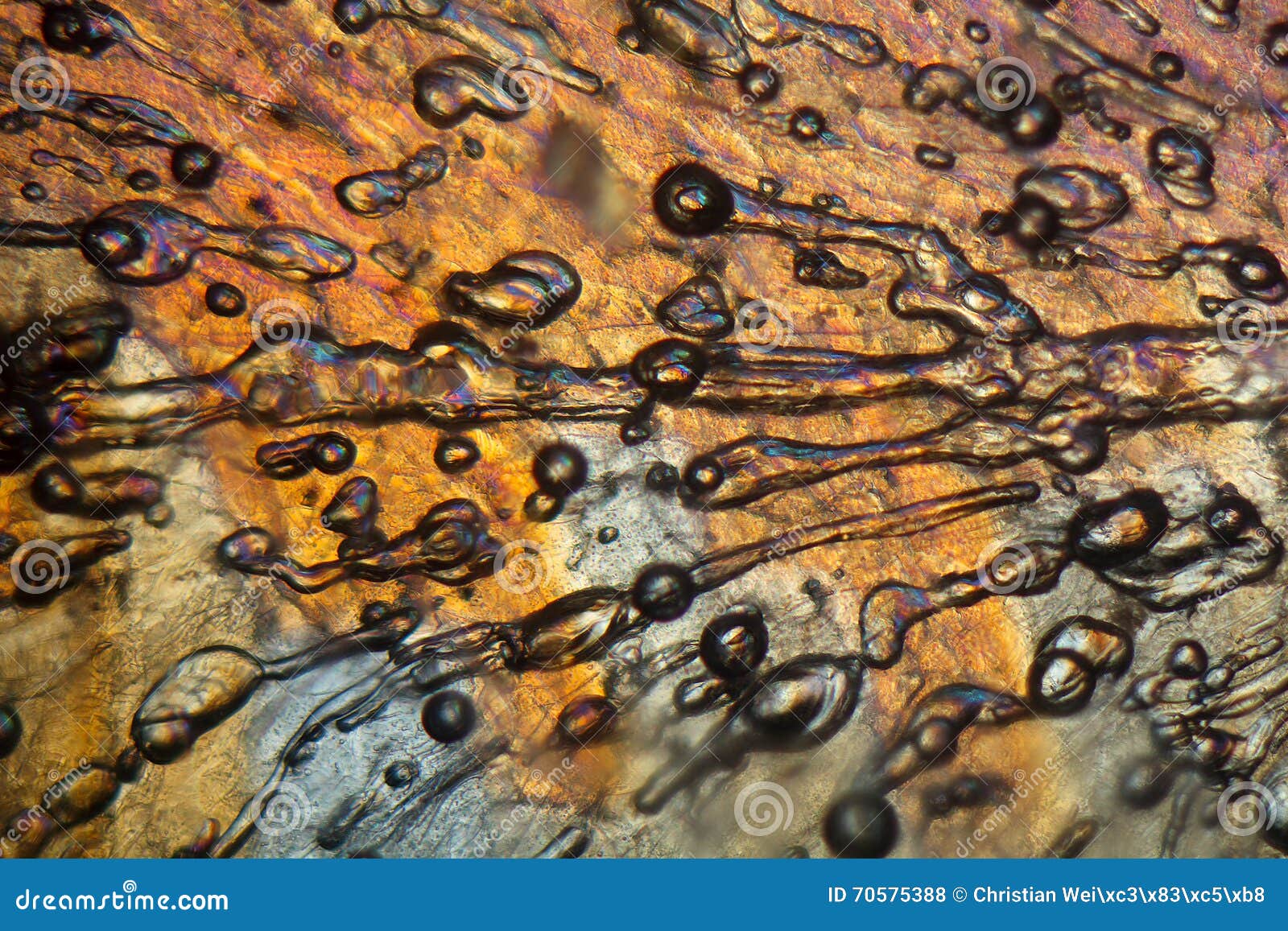 Air Bubbles in Ice Under the Microscope Stock Photo - Image of crystals ...