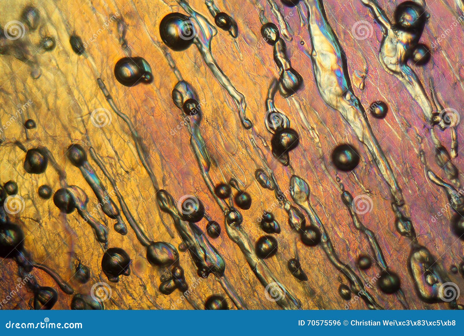 Air Bubbles in Ice Under the Microscope Stock Photo - Image of micro ...