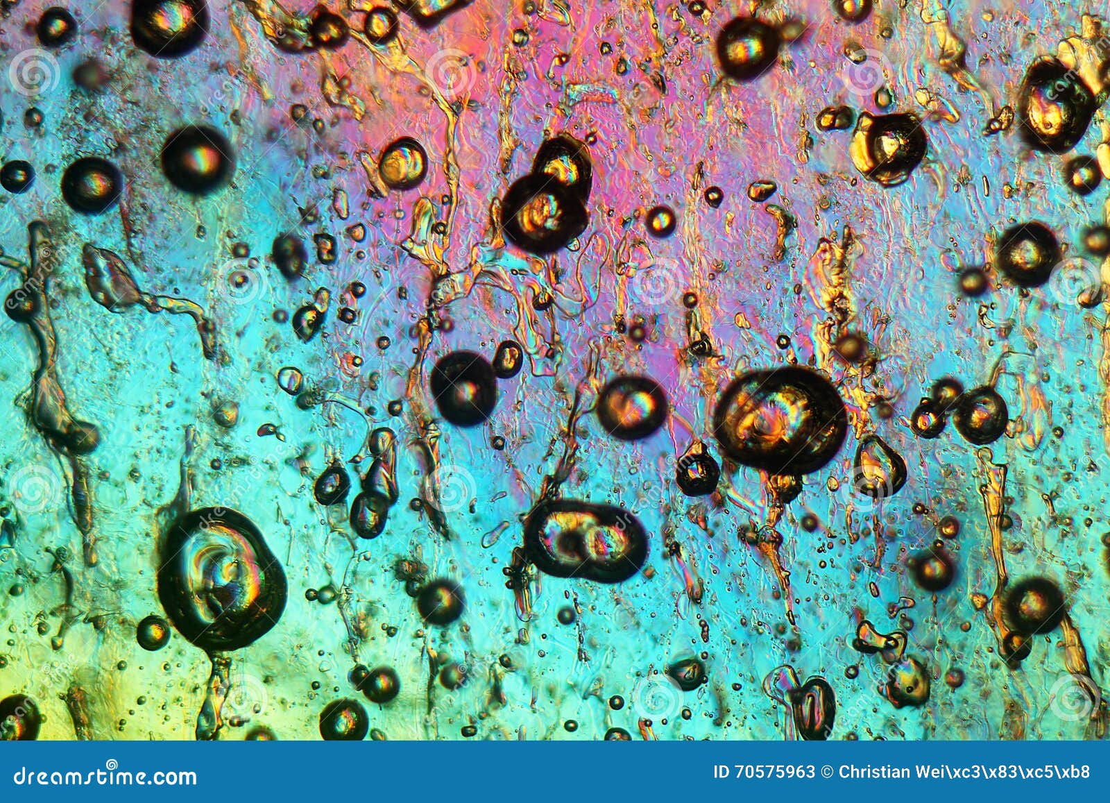 Air Bubbles in Ice Under the Microscope Stock Image - Image of ...
