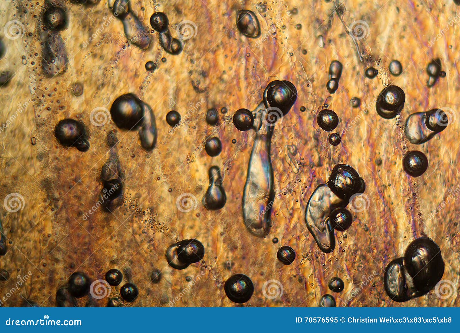 Air Bubbles in Ice Under the Microscope Stock Image - Image of texture ...