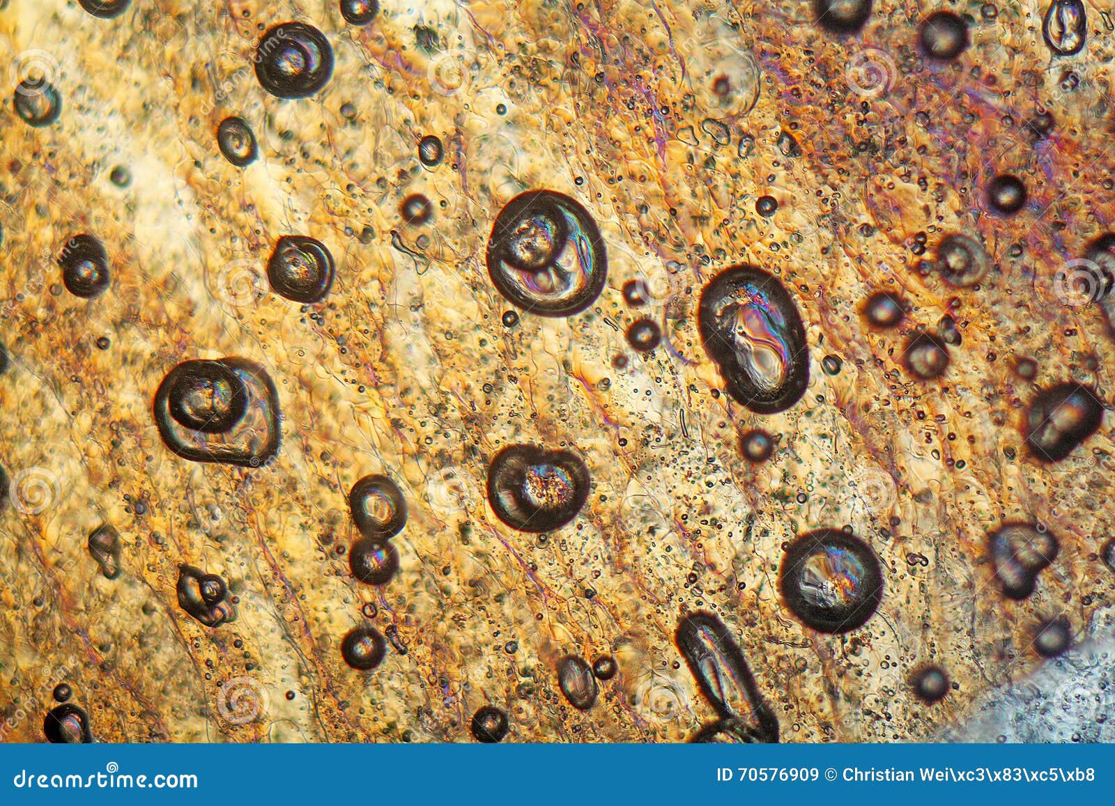 Ice Under Microscope