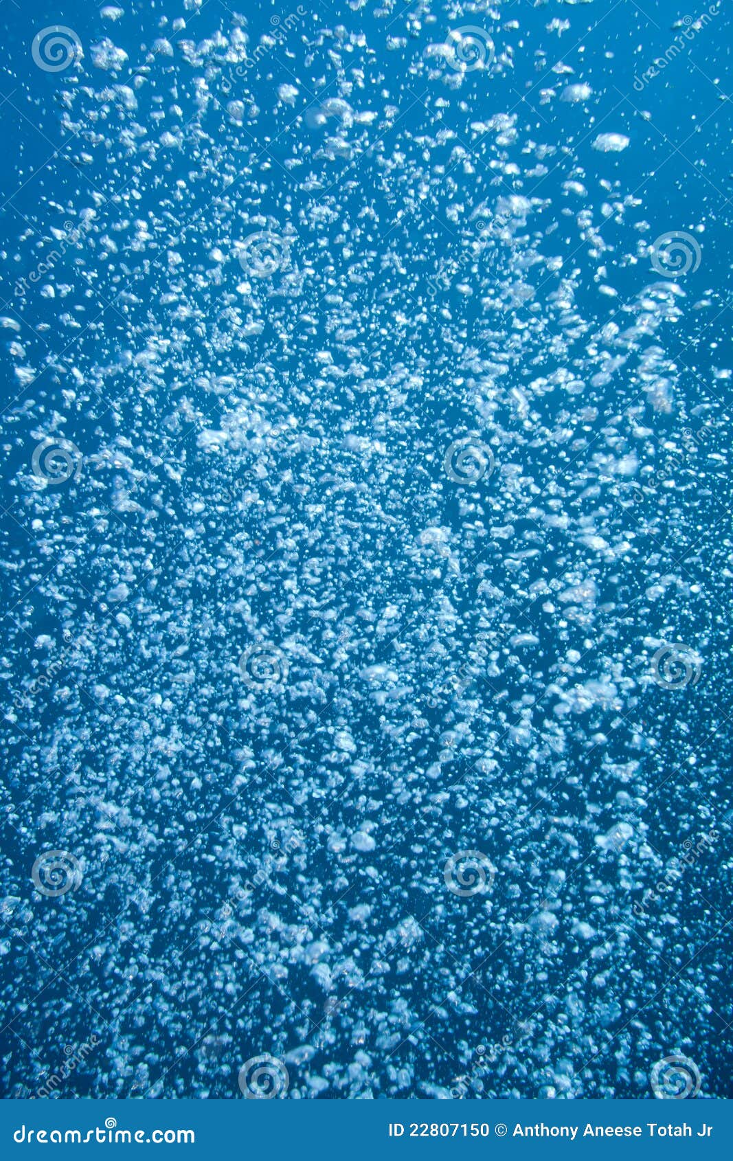 Air Bubbles Rising In Water Royalty-Free Stock Photography | CartoonDealer.com #5389865