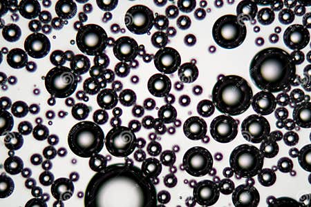 Air Bubbles in an Surfactant Fluid Under a Microscope Stock Photo ...