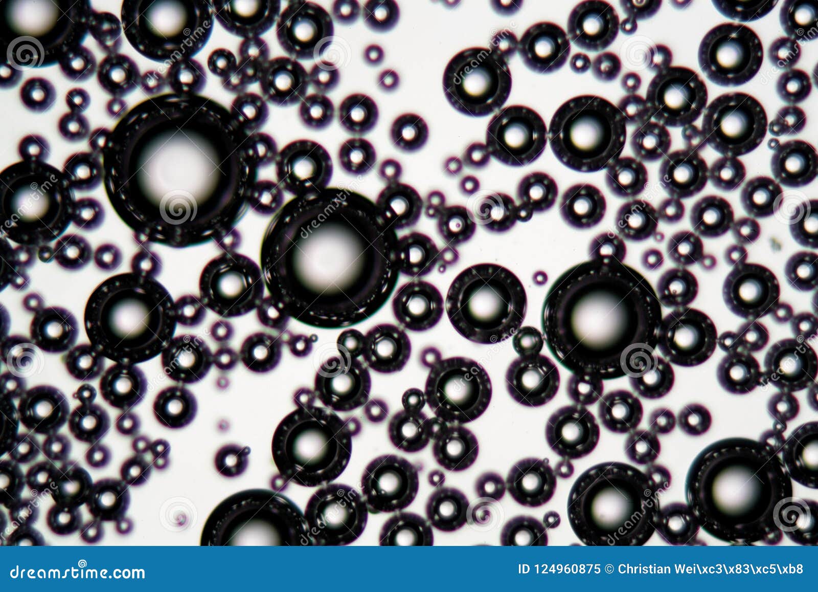 Air Bubbles in an Surfactant Fluid Under a Microscope Stock Image ...