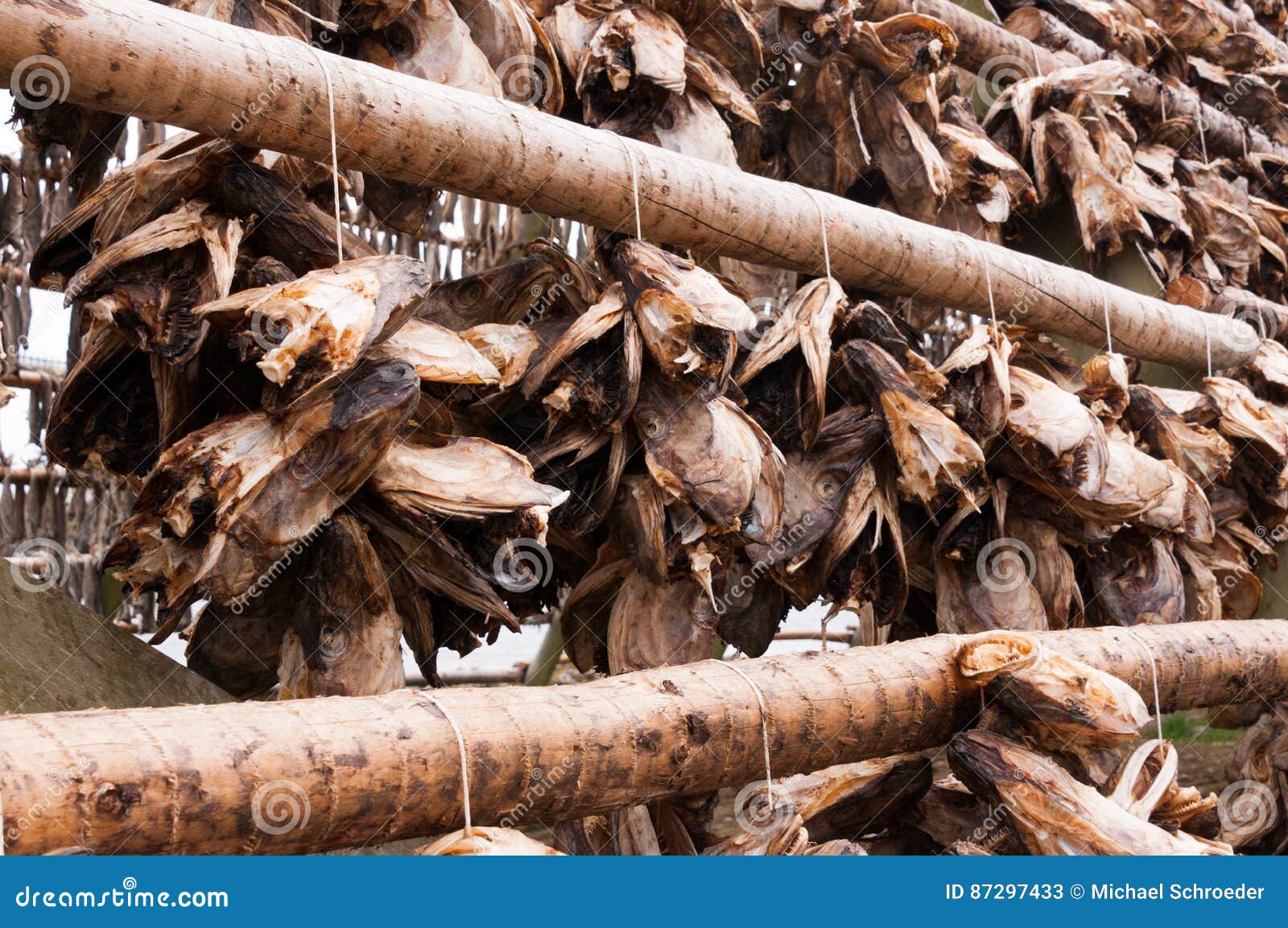 Air-dried cod stockfish stock image. Image of scandinavia - 87297433