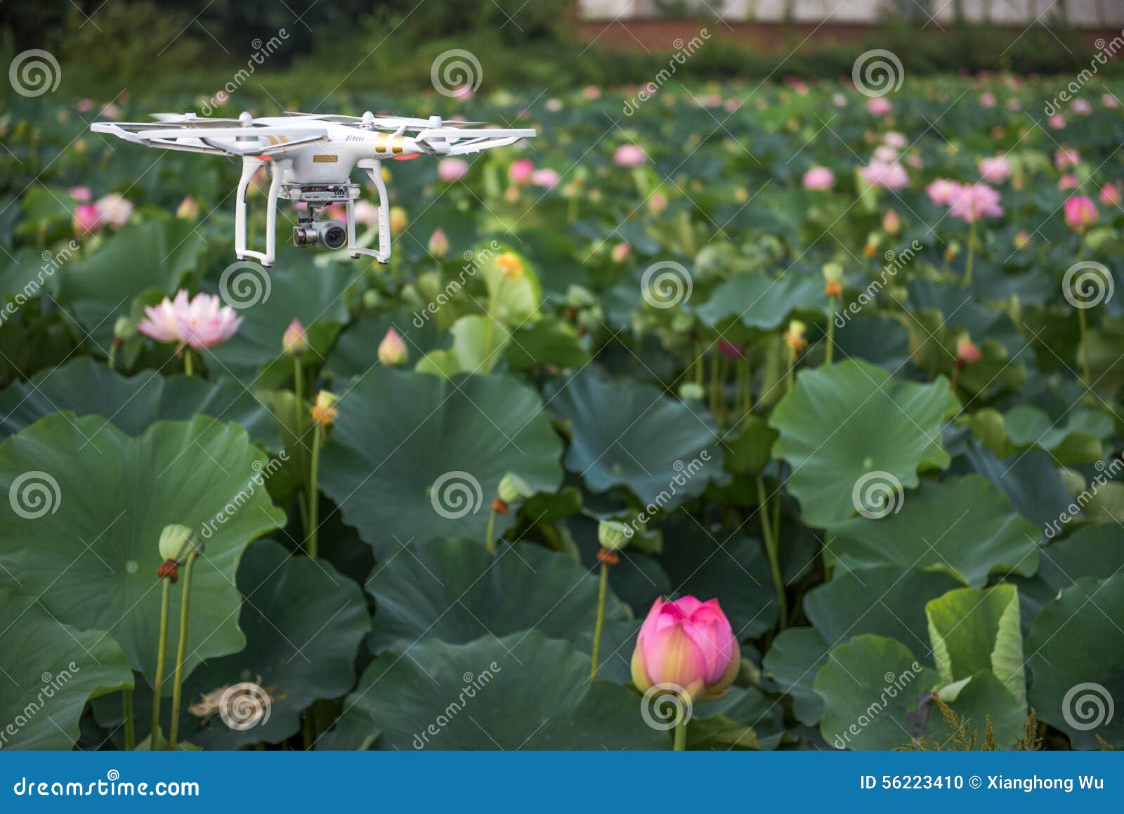 Air Drone Surveillance Camera Lotus Stock Photos - Free & Royalty-Free ...