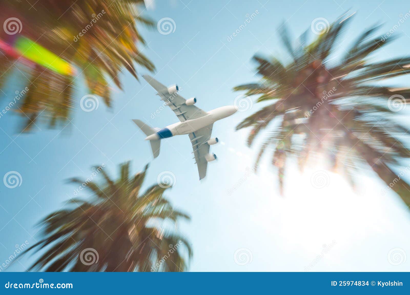 Air Plane Above Palm Trees. Stock Photo - Image of exotic, holiday ...