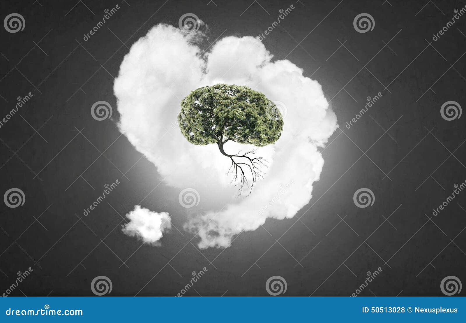 Air pollution stock photo. Image of brain, breath, shape - 50513028