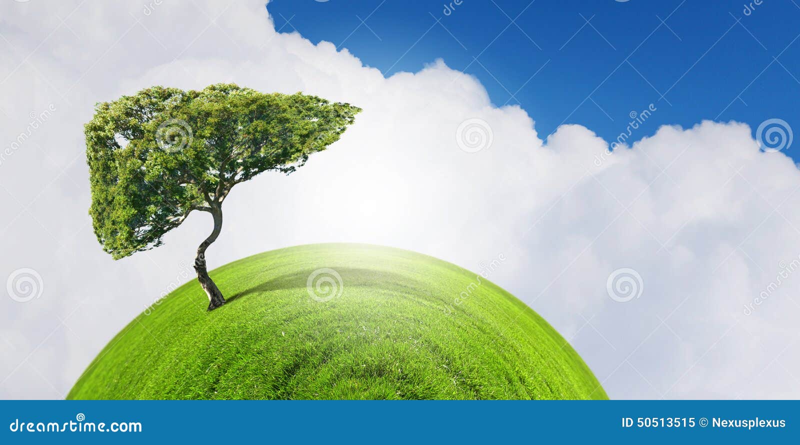 Air pollution stock image. Image of tree, ecology, people - 50513515