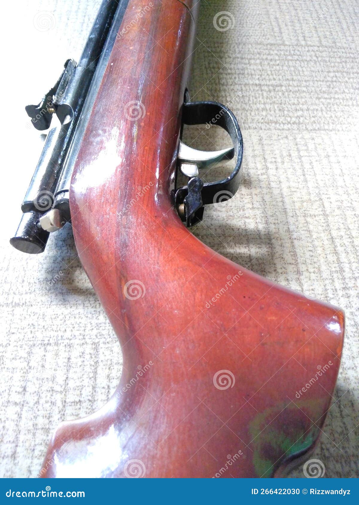 Air Rifle Stock and Trigger Stock Photo - Image of rifle, iron: 266422030