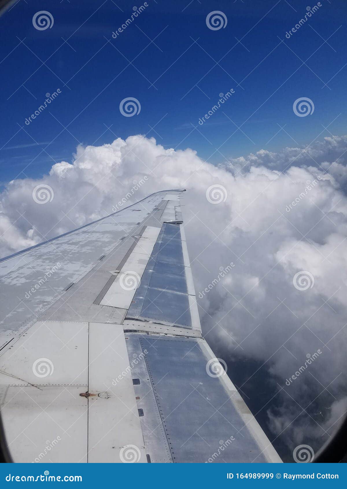 Airborne stock image. Image of flight, airborne, florida - 164989999