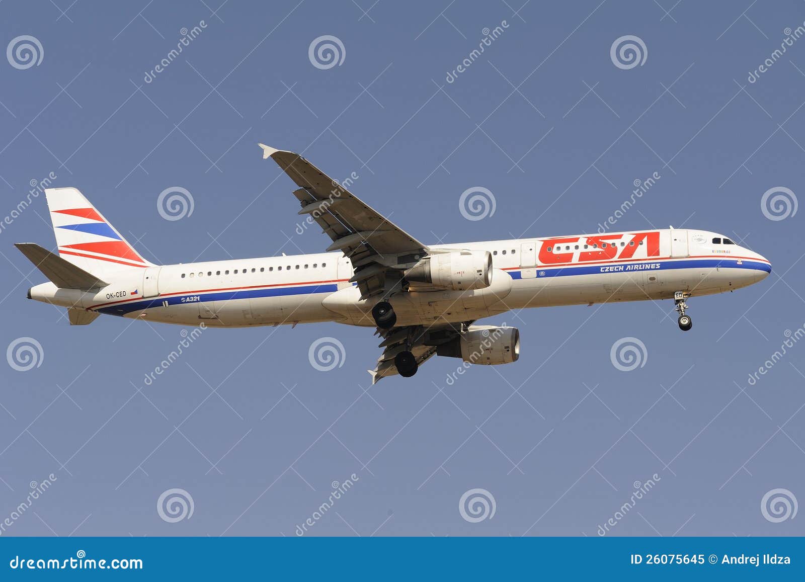 ANA Airbus A321-200 Landing Editorial Image | CartoonDealer.com #134128354