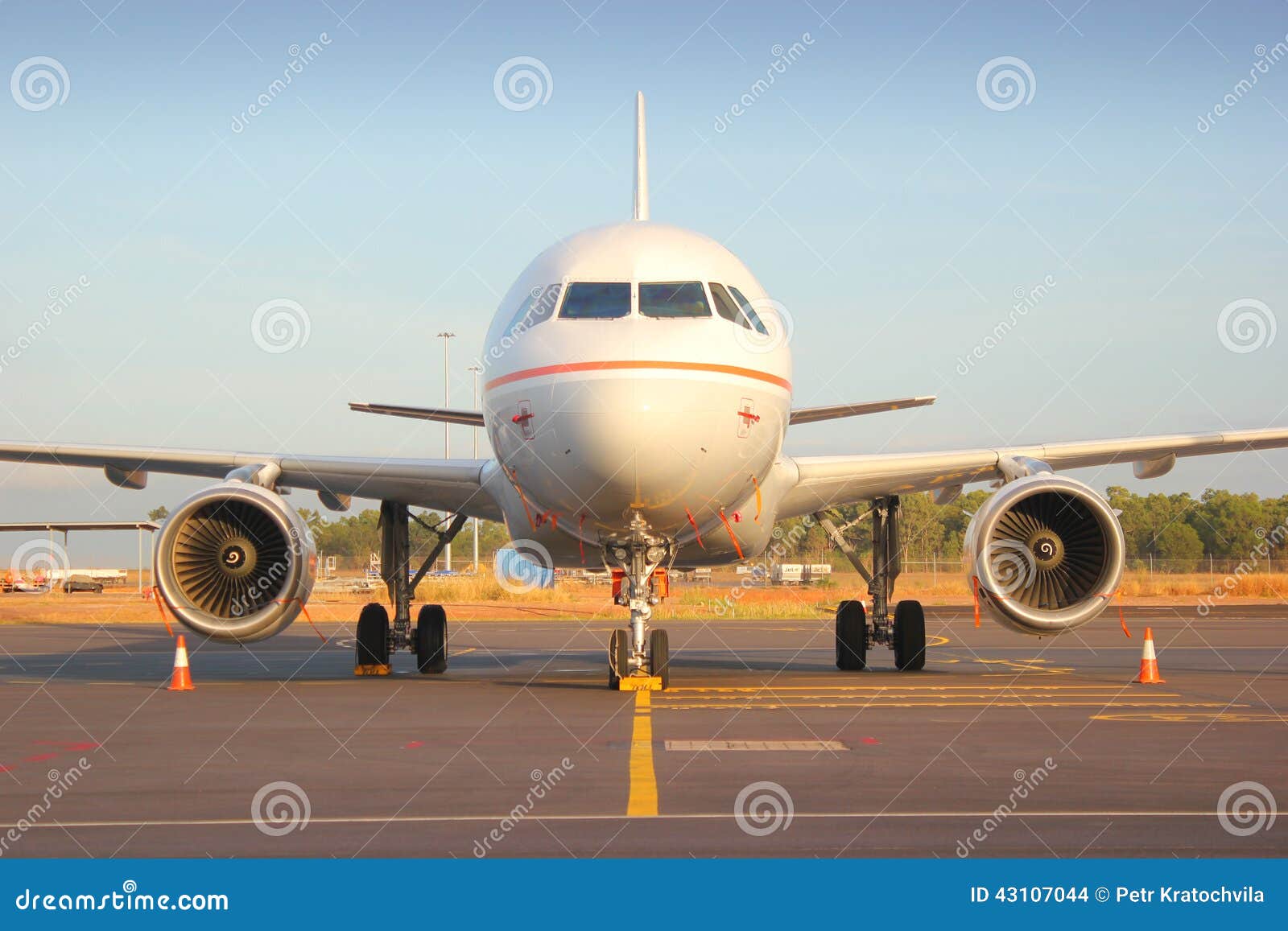 Airbus A320 stock photo. Image of field, airline, flight - 43107044