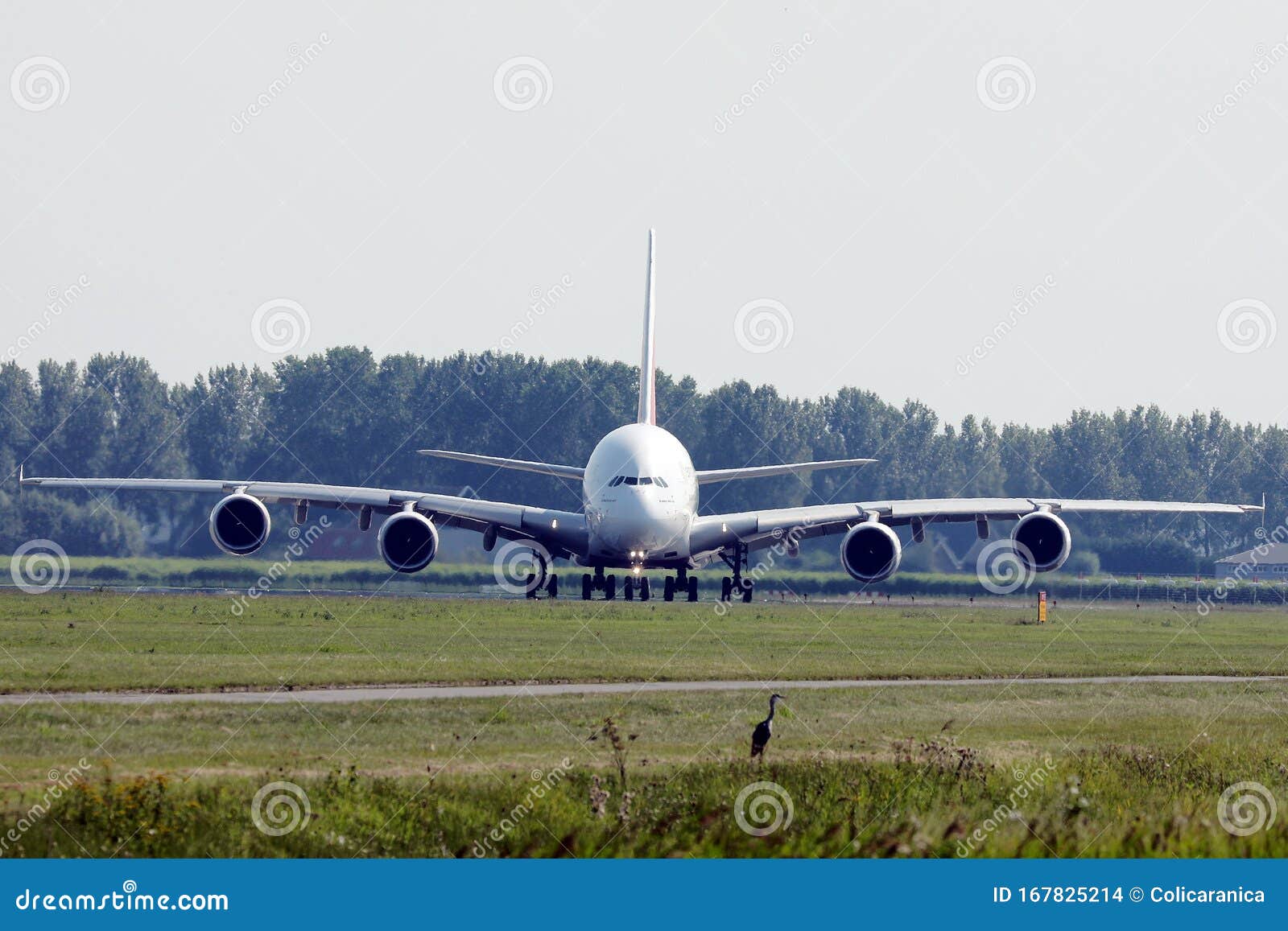 Airbus A380 Plane, Front View Stock Photo - Image of planes, view ...
