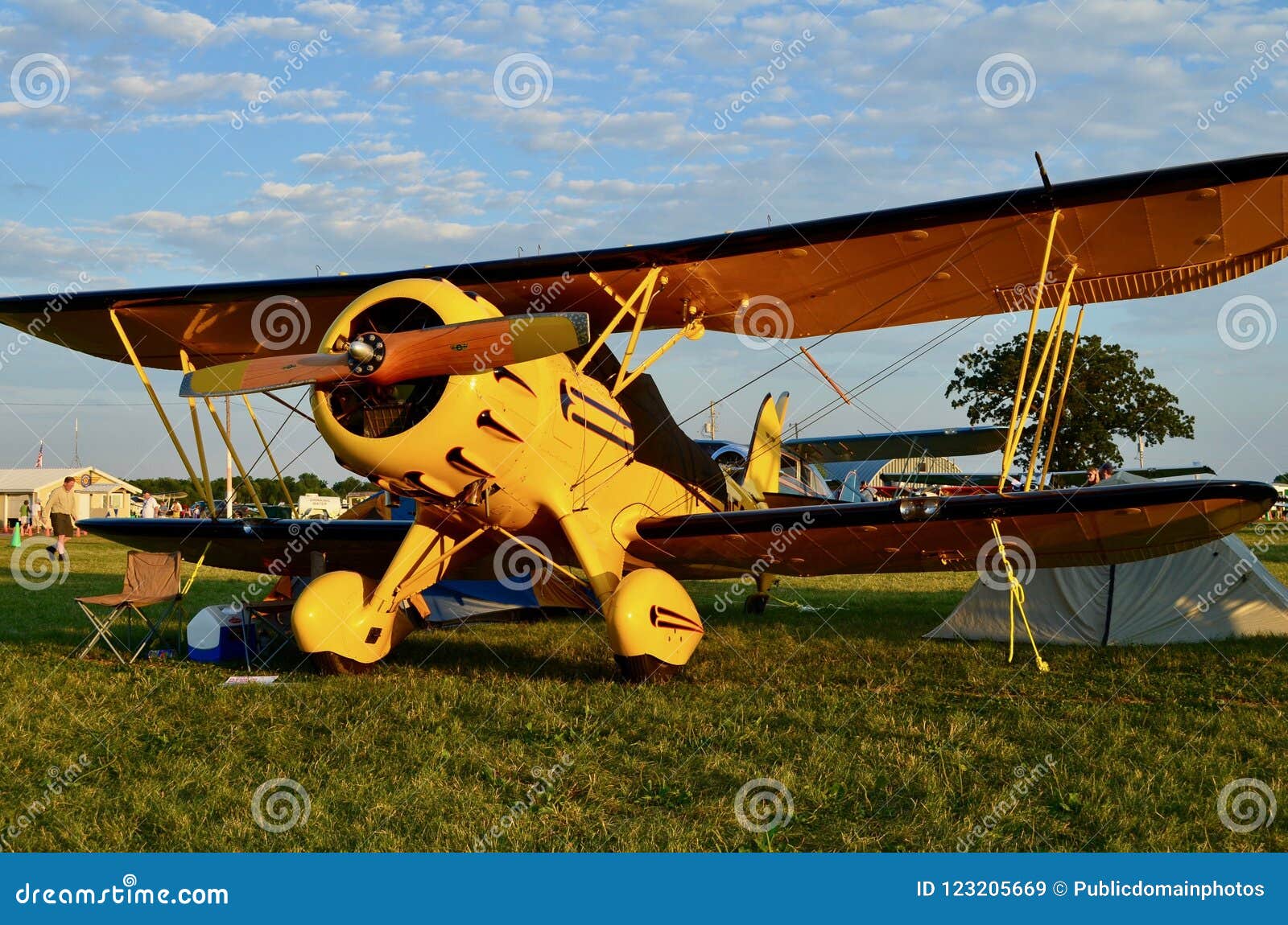 Aircraft, Airplane, Yellow, Biplane Picture. Image: 123205669