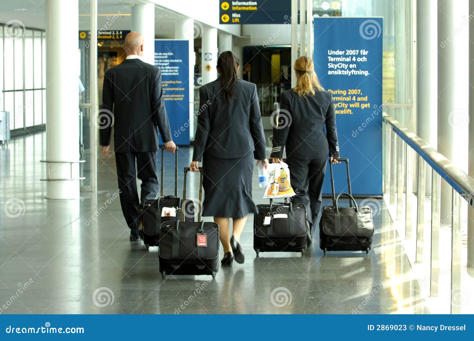 Aircraft crew stock image. Image of females, adults, aircraft - 2869023