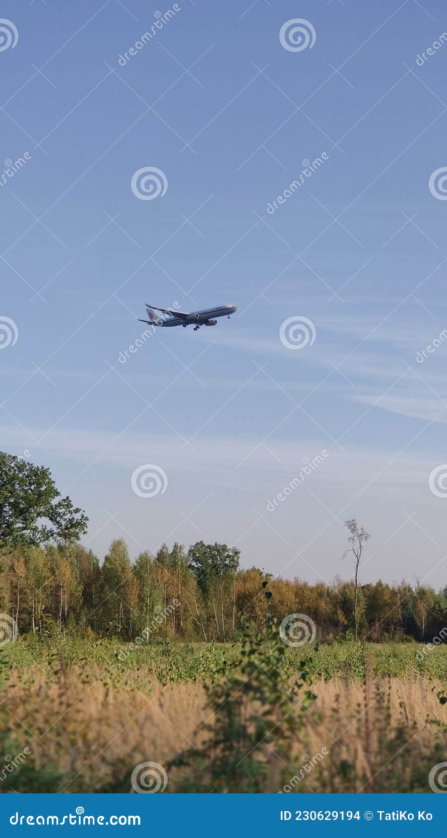 Aircraft is Landing in Forest. Glide Path Stock Photo - Image of summer ...