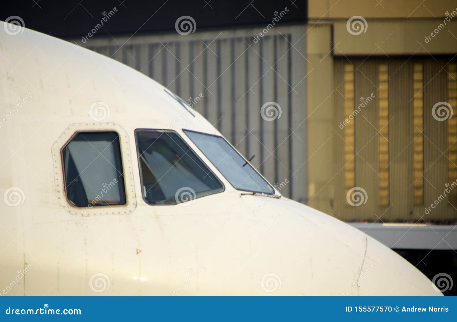 Aircraft Nose stock photo. Image of airline, vacation - 155577570