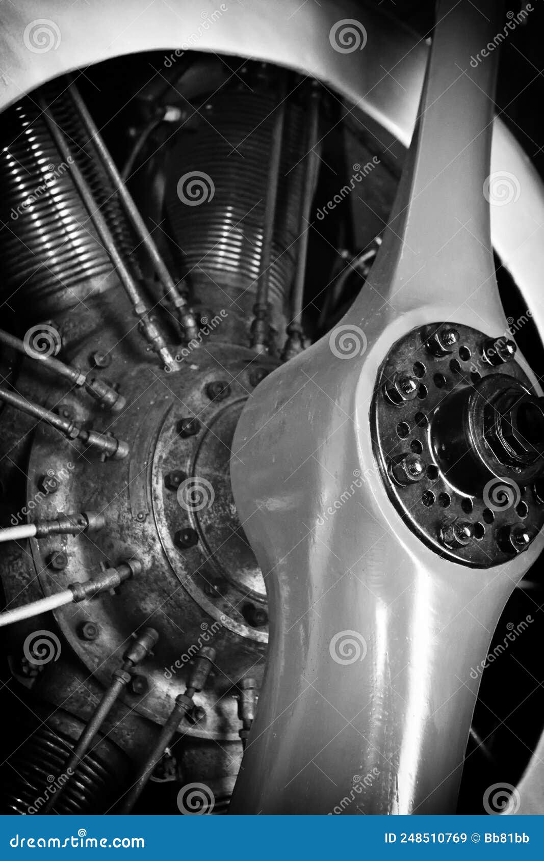 Radial Engine of a Vintage Aircraft with a Propeller Stock Image ...
