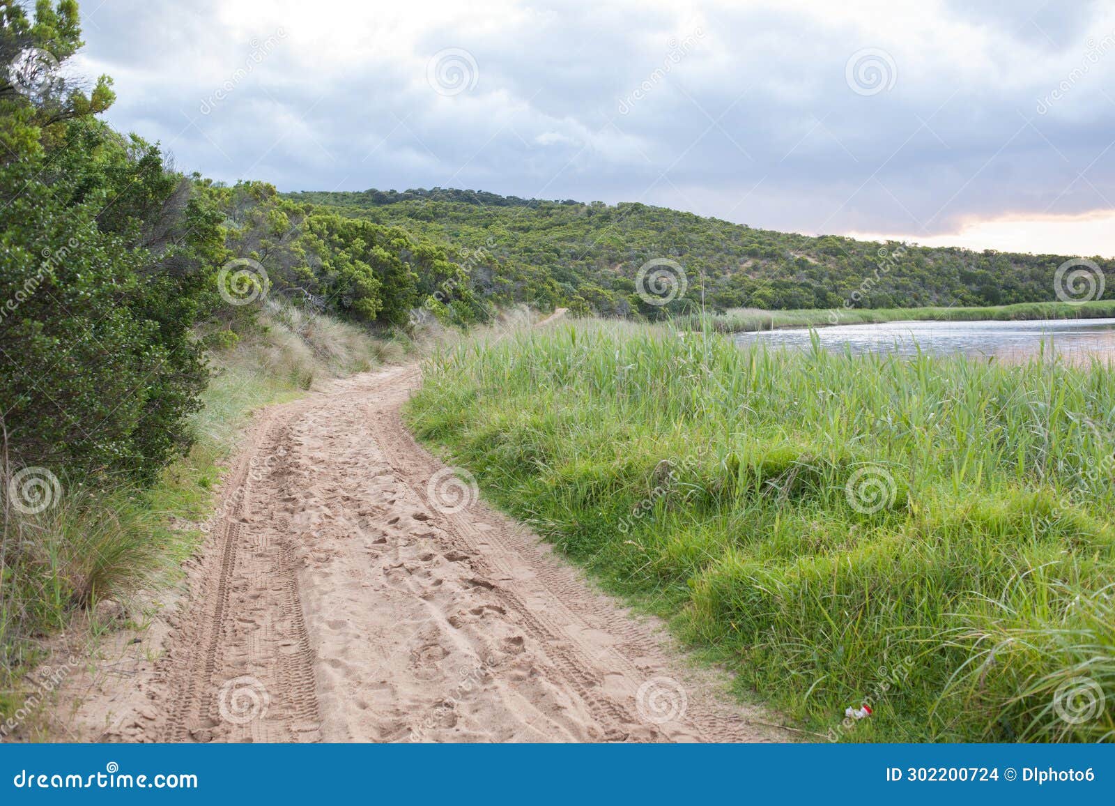Aire River 4WD Track To the Beach Stock Photo - Image of australia ...