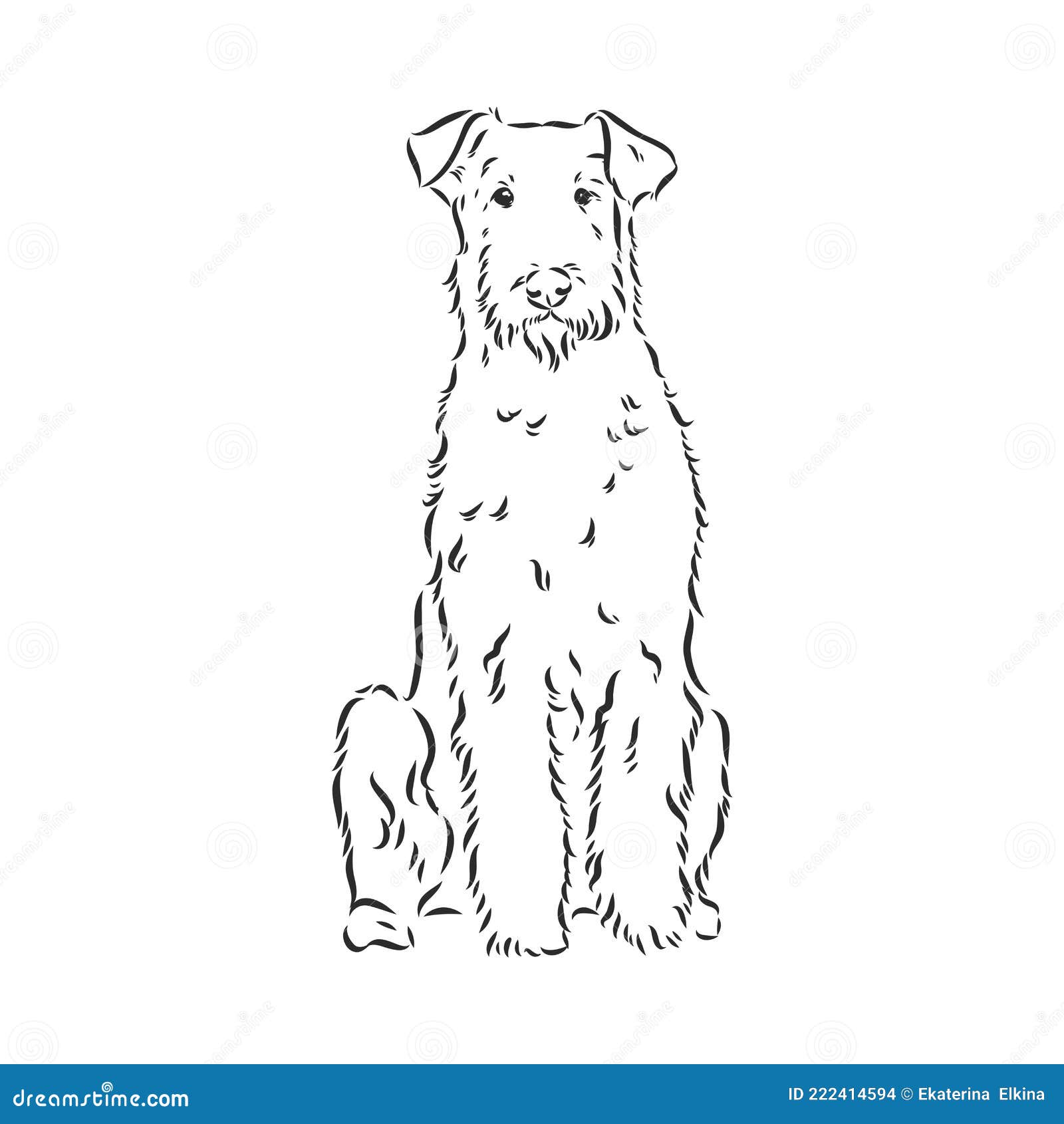 Airedale Terrier Dog. Hand Drawn Stock Vector - Illustration of line ...