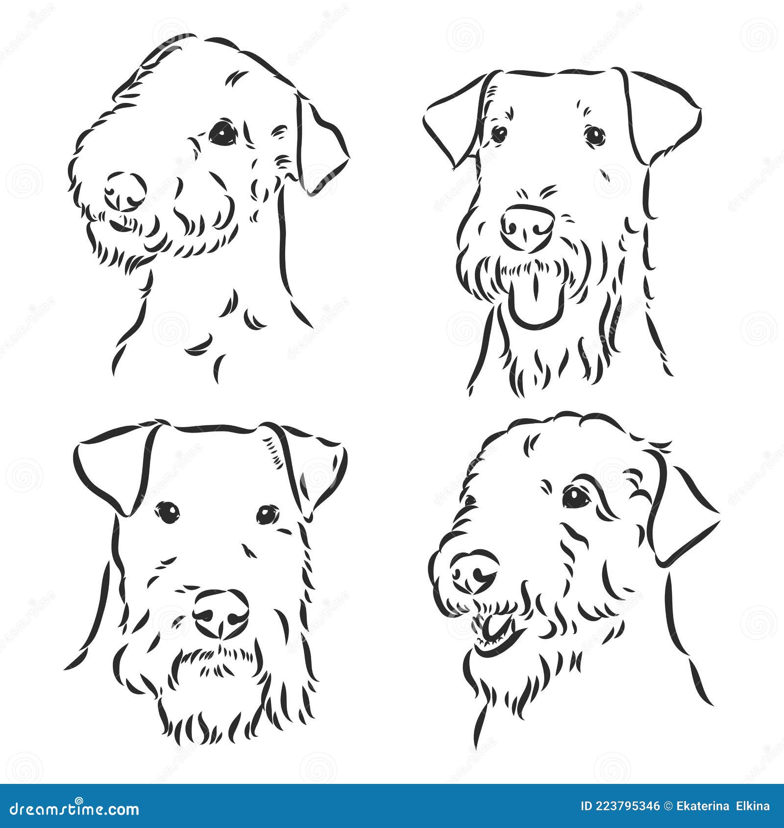 Airedale Terrier Dog. Hand Drawn Stock Vector - Illustration of ...