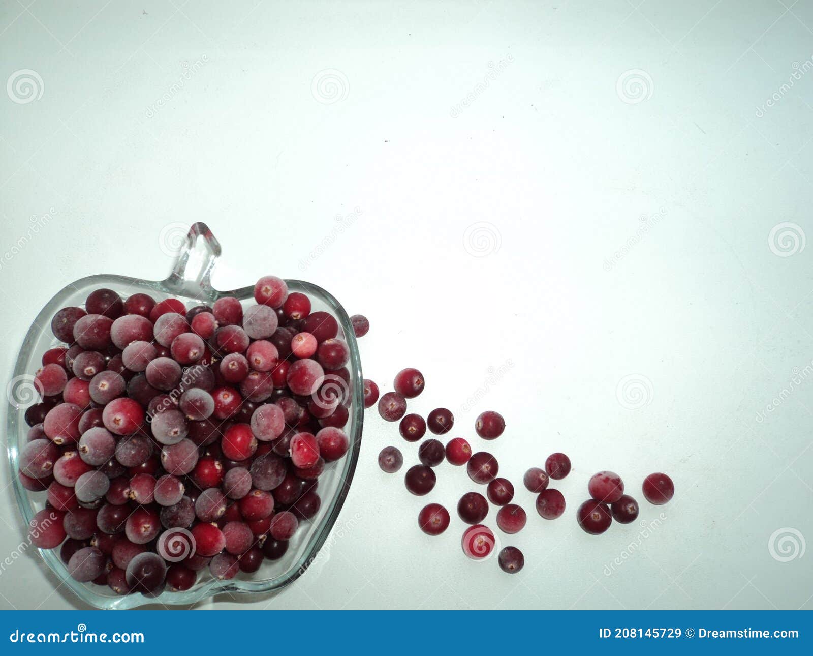 Airelles rouges! image stock. Image du fruits, centrale - 208145729