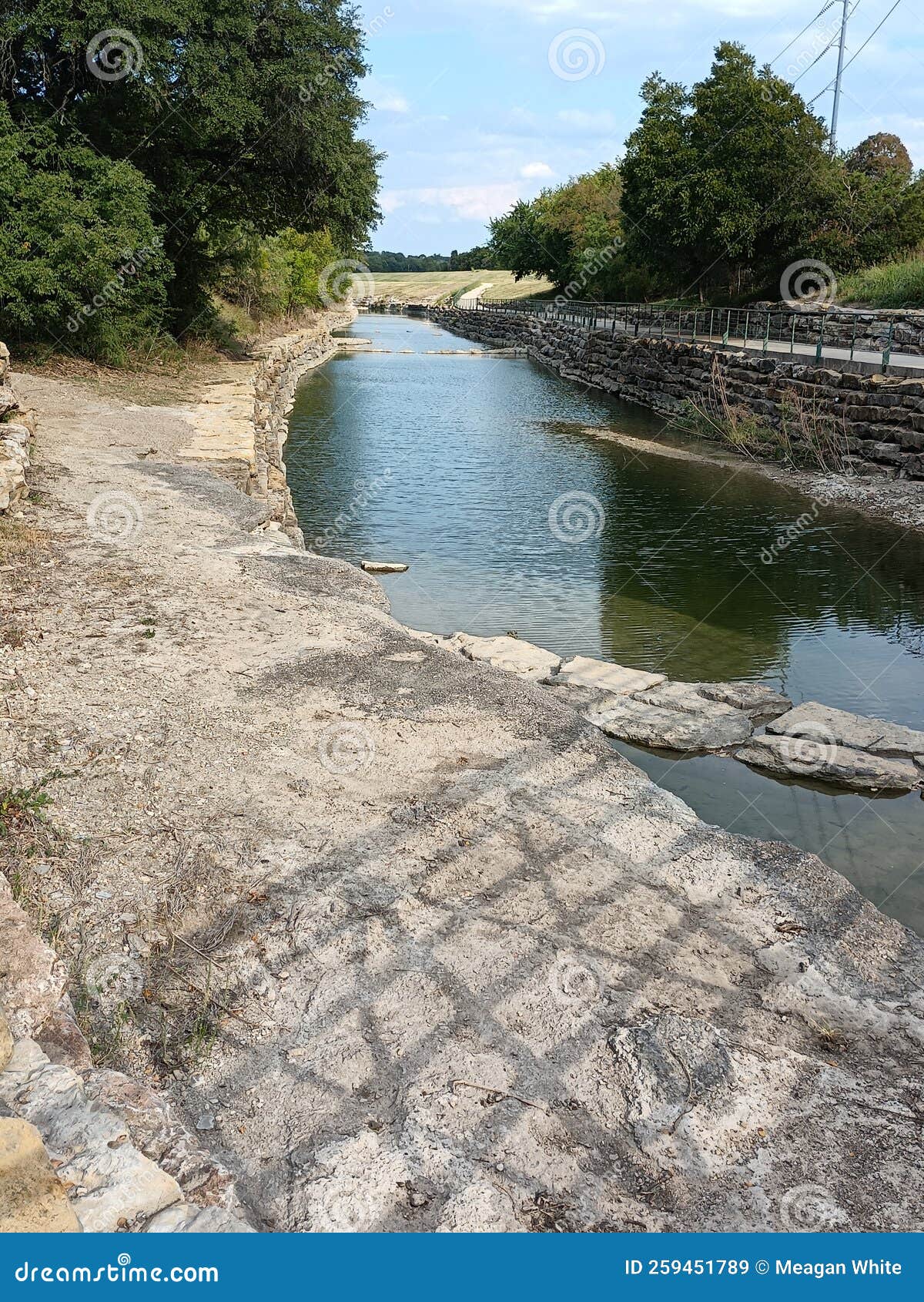Airfield Nature Conservation Stock Image - Image of leaf, water: 259451789