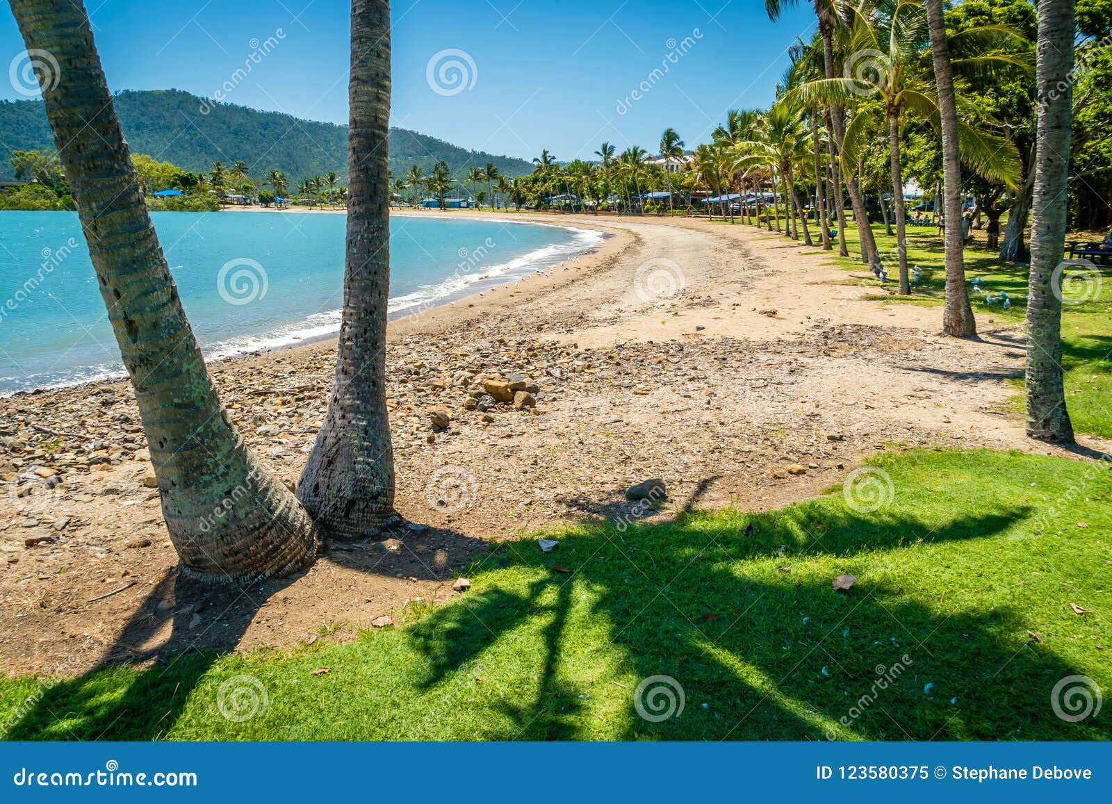Airlie Beach in the Summer on a Hot Sunny Day Stock Image - Image of ...