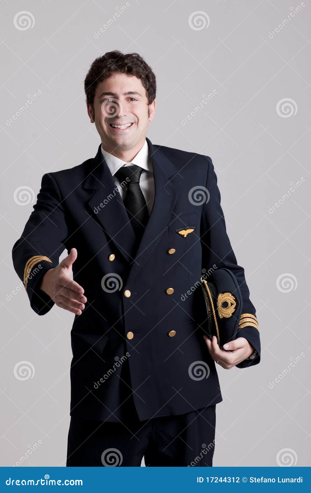 Airline Pilot/Captain stock photo. Image of person, industry - 17244312