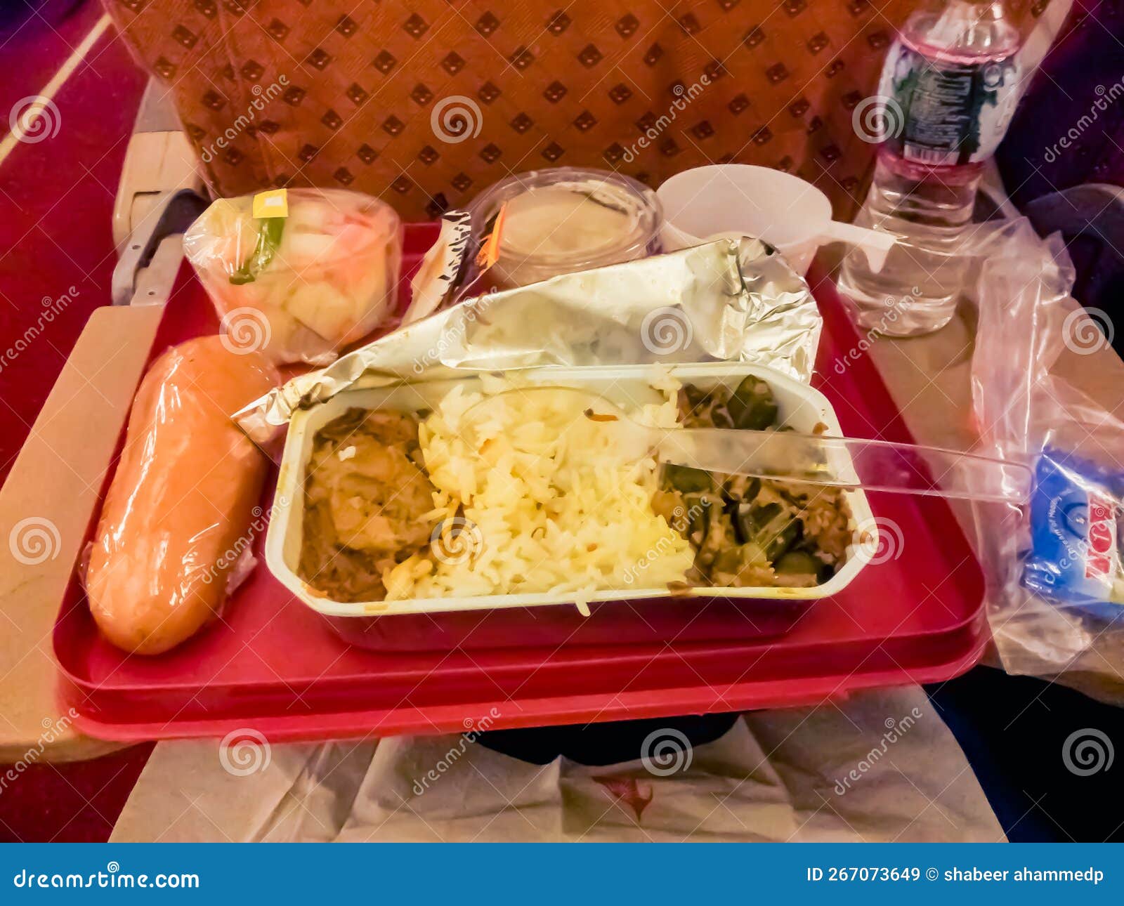 Airline S Indian Food at Flight Editorial Stock Image - Image of ...