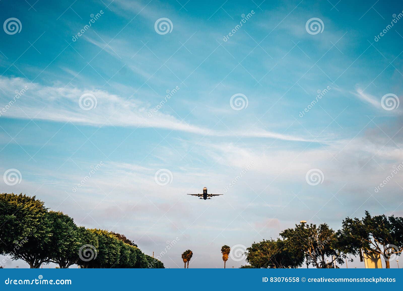 Airplane In Flight Picture. Image: 83076558