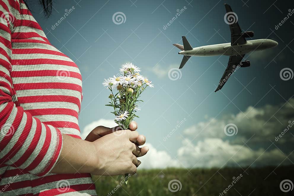Airplane and flower stock image. Image of bloom, background - 13303561