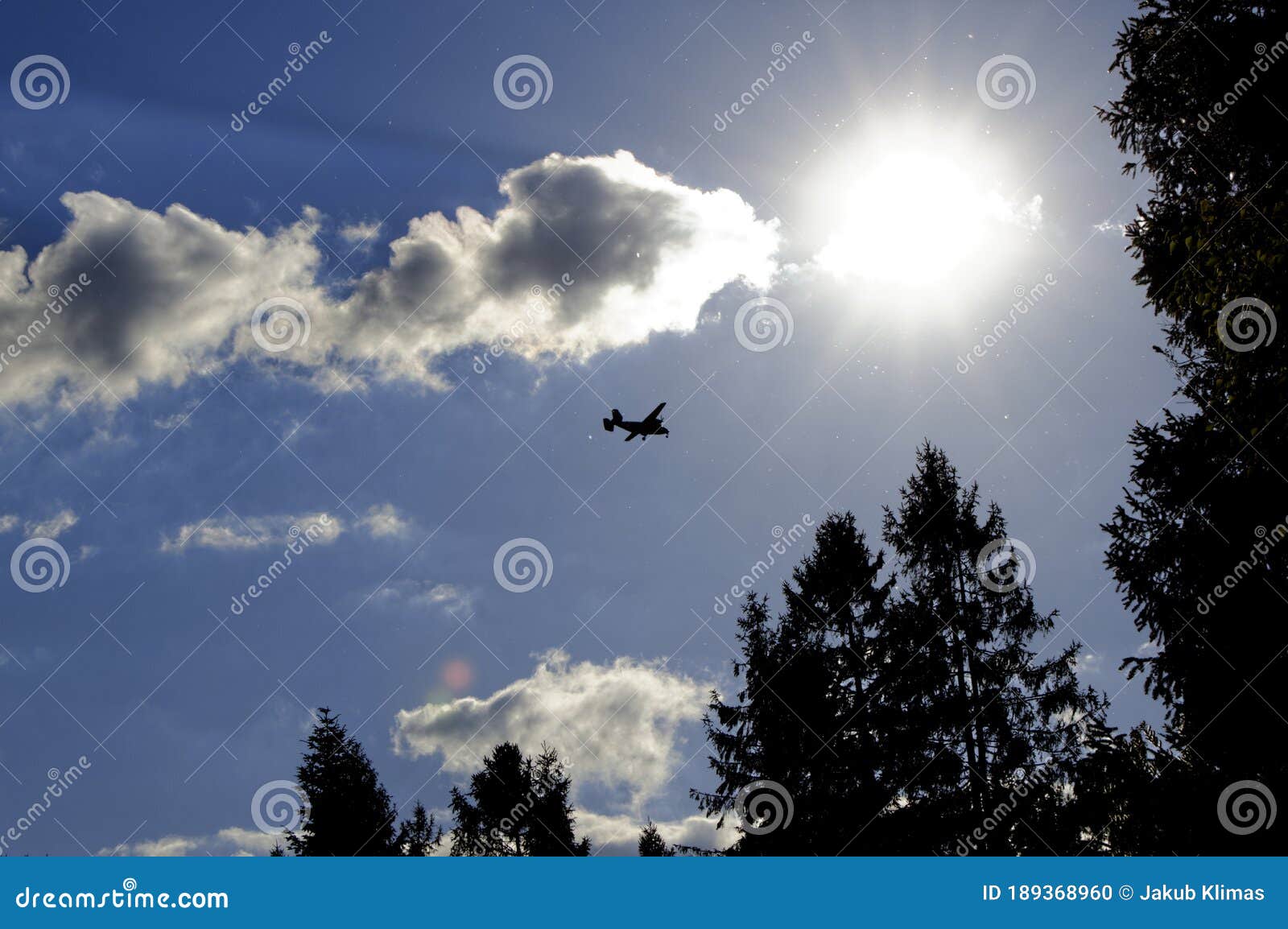 Airplane Flying Over Forest Stock Photo - Image of flight, engine ...