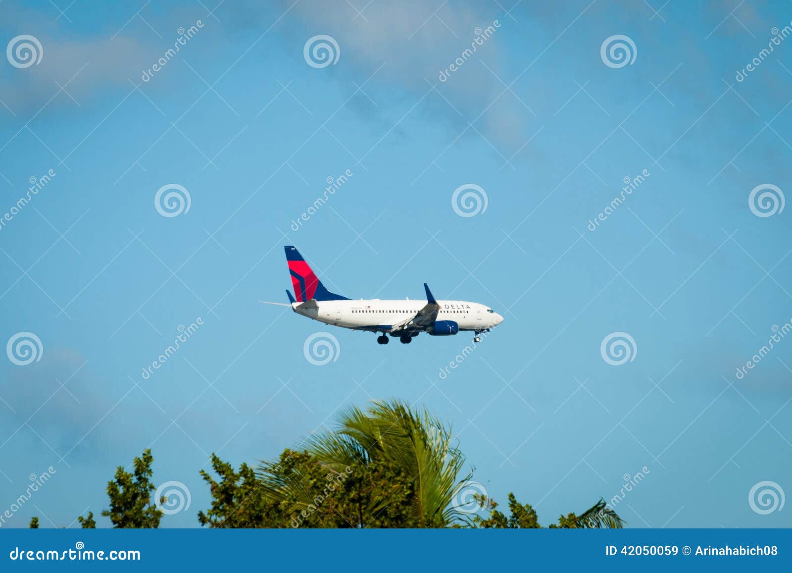 Airplane editorial stock image. Image of leaf, tropical - 42050059