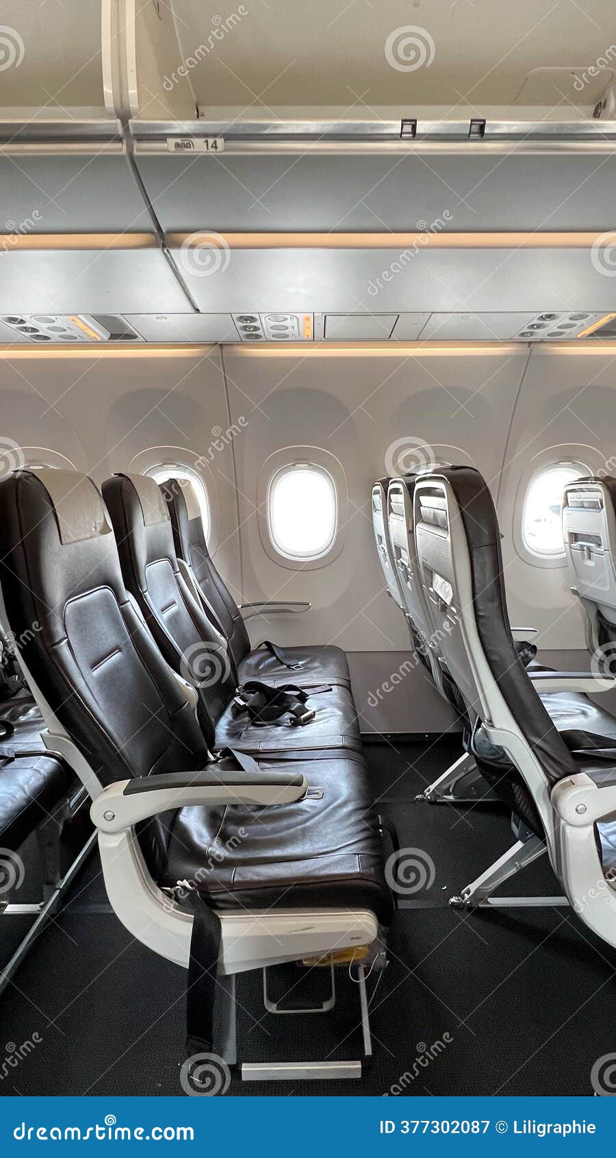 Airplane Interior Royalty-Free Stock Photo | CartoonDealer.com #9530061