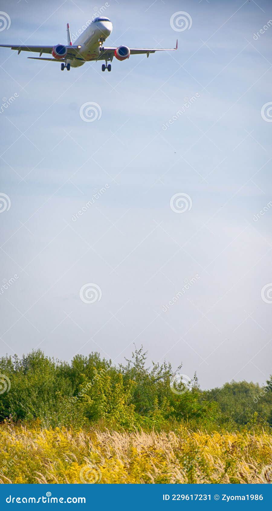 Airplane Landing on the Airport. Perfect View on the Airplane with ...