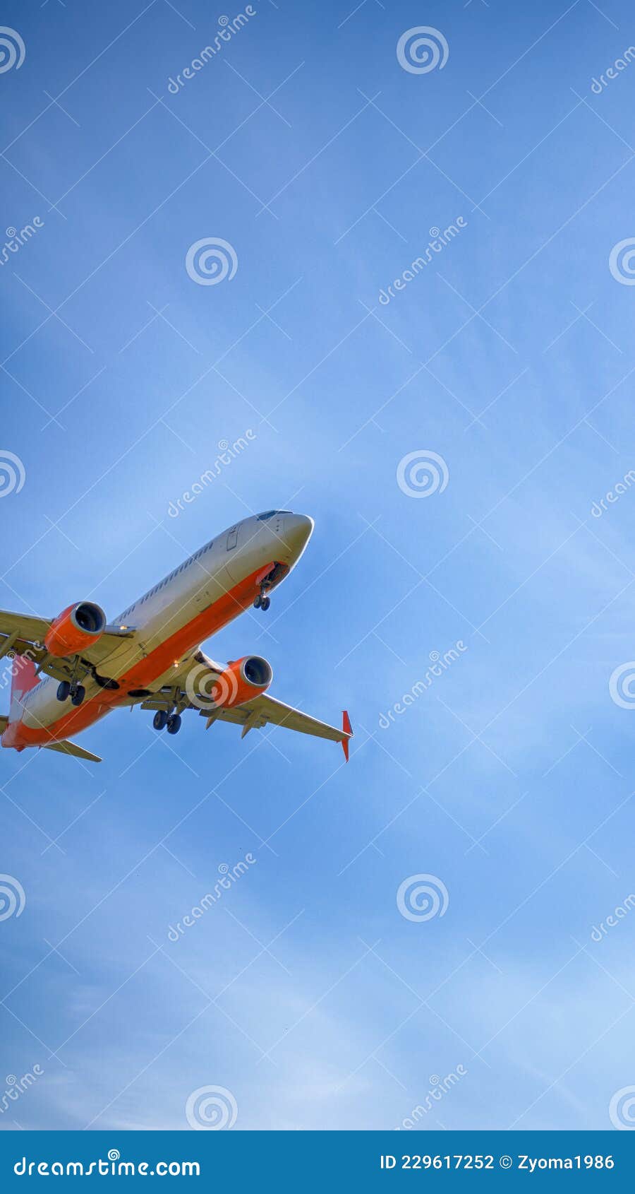 Airplane Landing on the Airport. Perfect View on the Airplane with ...