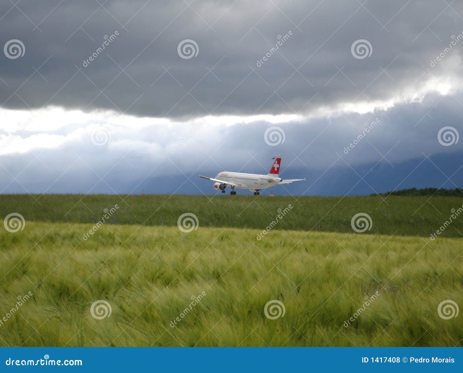 Airplane in nature plan stock photo. Image of beauty, clown - 1417408