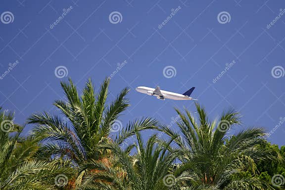 Airplane over palm trees stock image. Image of tourism - 2962297